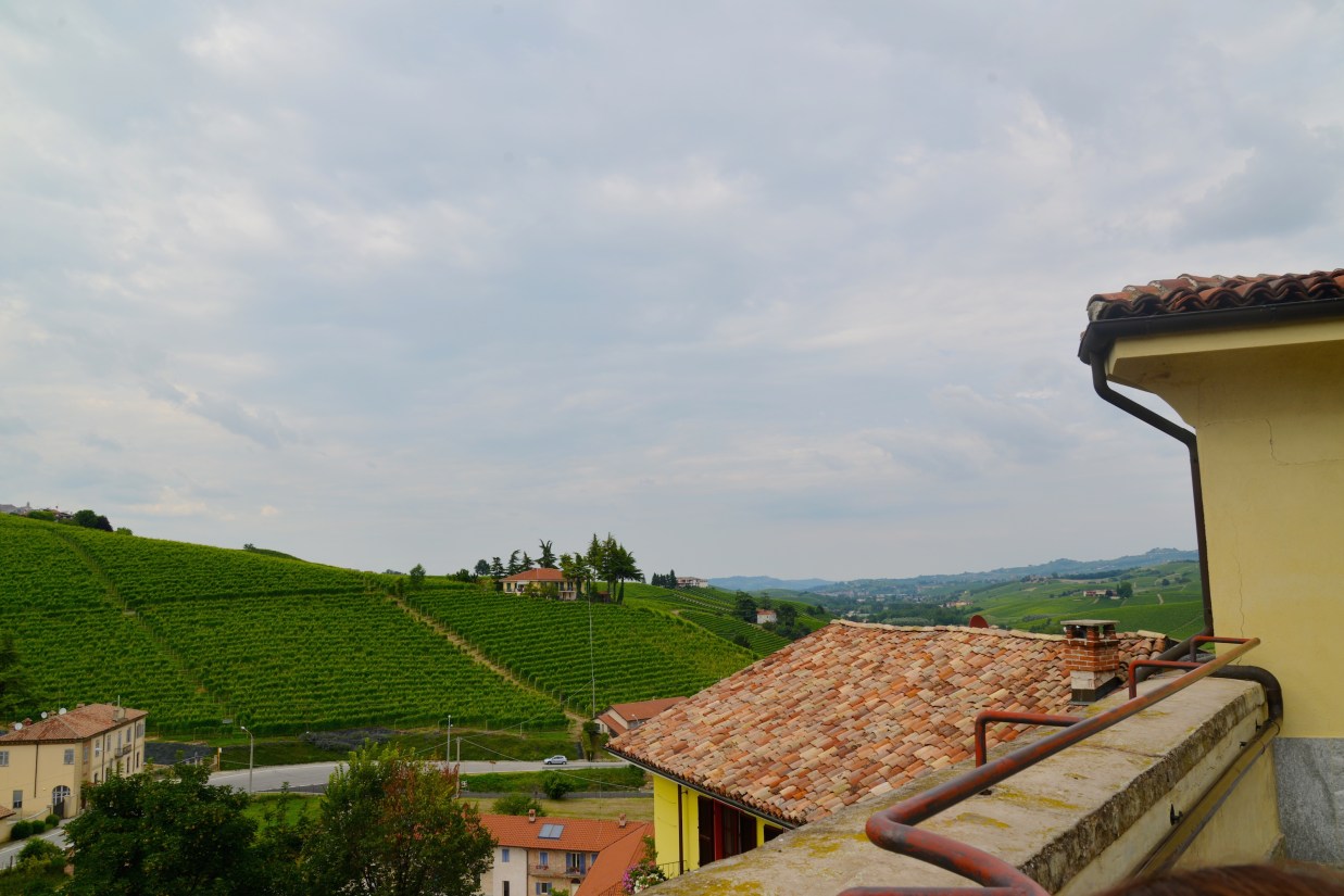 Exploring the Northern Italian Countryside | Lily Runs the World